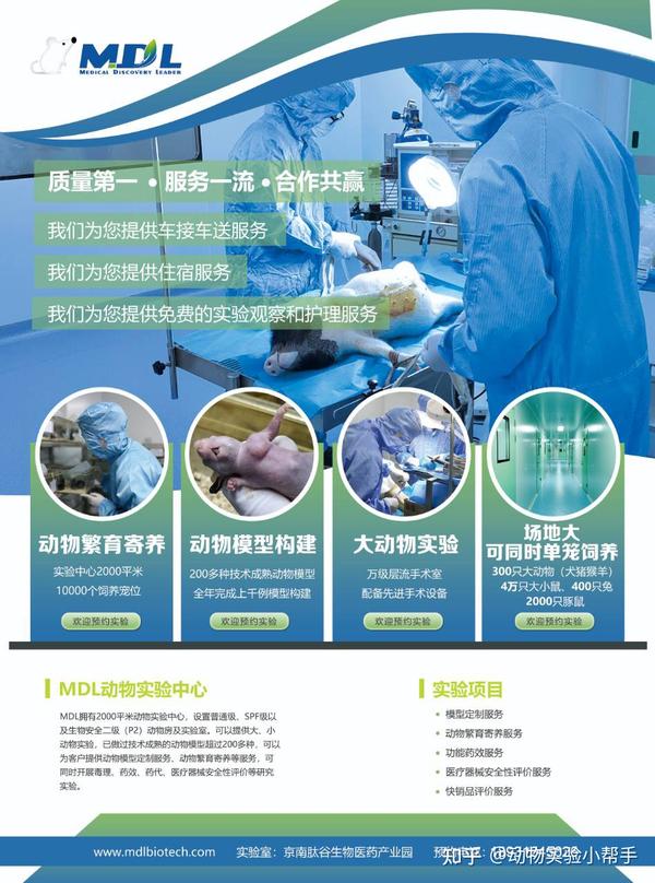 基础科研-DM动物模型制备方法 - 知乎