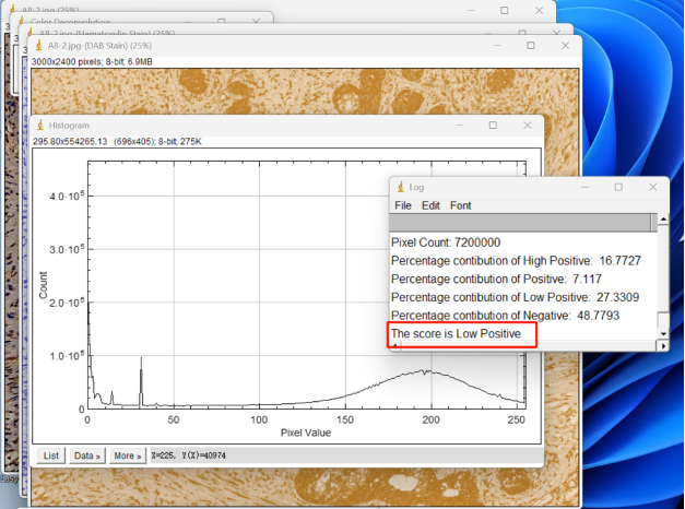 解忧小工具｜保姆式教程！用Image J进行免疫组化分析（IHC score评分） - 知乎