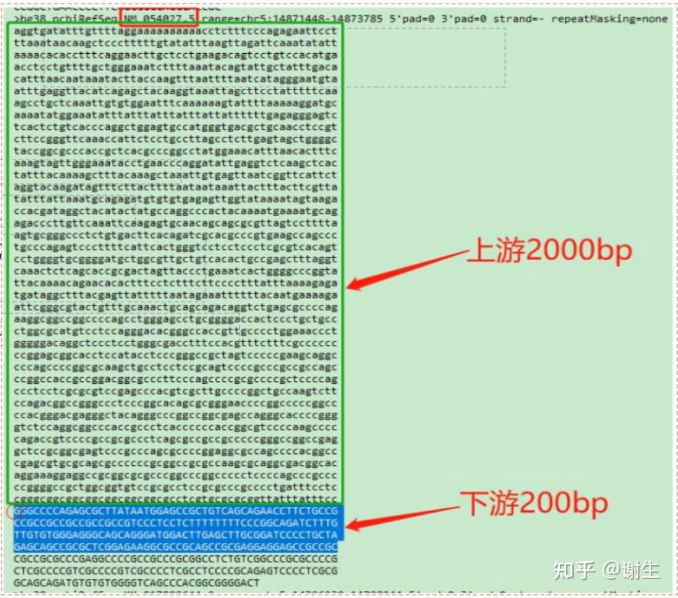 已知启动子序列怎么预测转录因子呢？ - 知乎