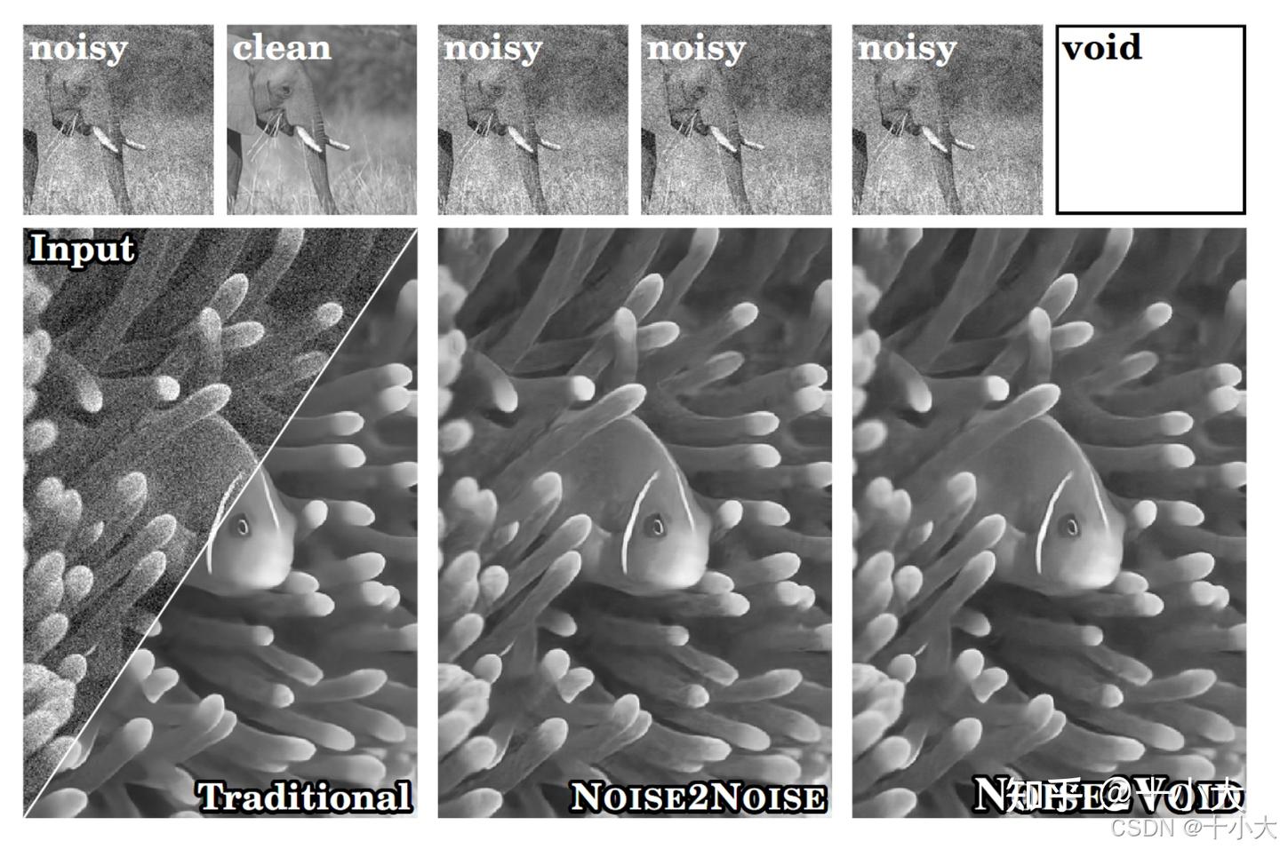 CVPR 2019 | N2V：降维打击！图像对输入变成像素对输入！盲点自监督去噪开山之作！ - 知乎
