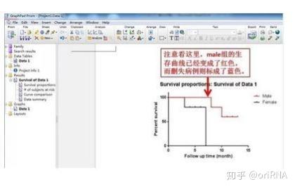 手把手教你用GraphPad Prism绘制生存曲线 - 知乎