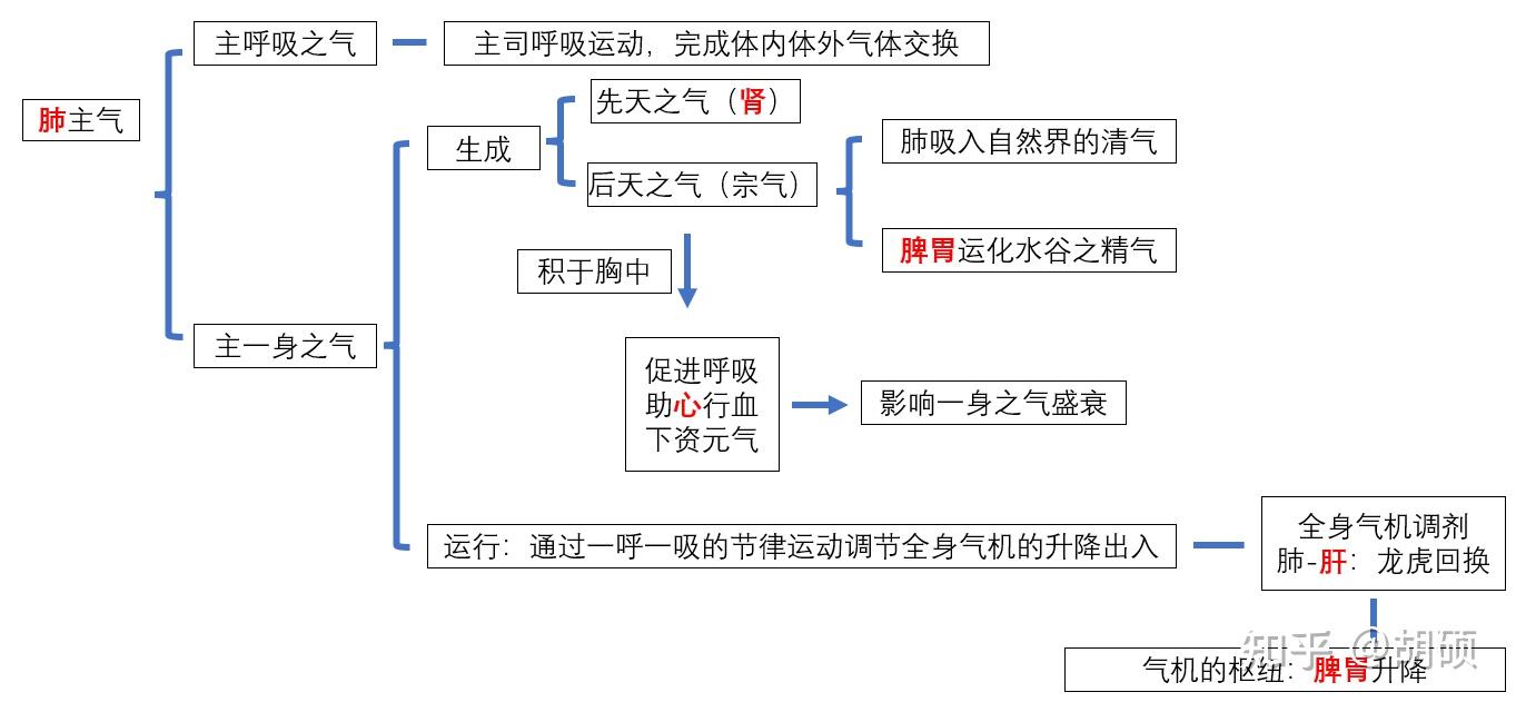 中医气的生成与运行 - 知乎