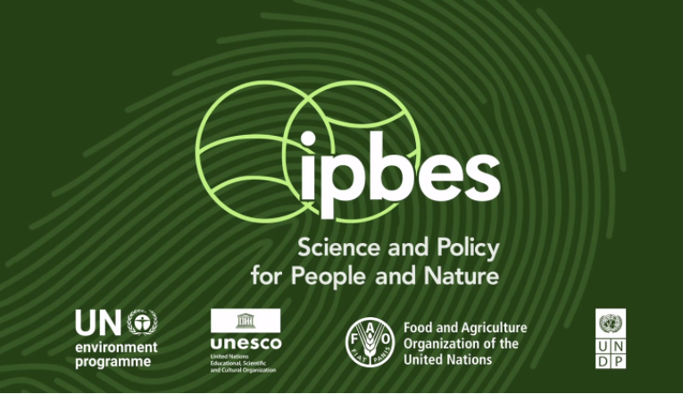 IPBES第十一届全体会议将于2024年在非洲纳米比亚举行 - 知乎