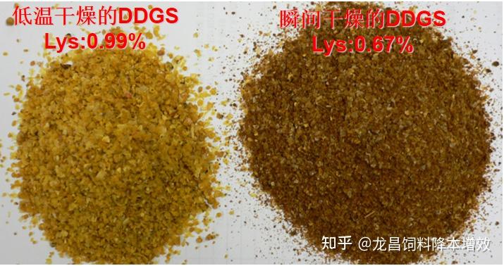 浅谈玉米DDGS质量控制问题！ - 知乎