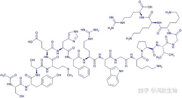 Acetyl-ACTH (1-17) - 知乎