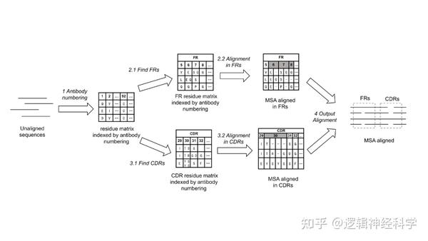 NAR︱四川大学曹洋团队发表抗体和BCR数据分析新方法Abalign - 知乎