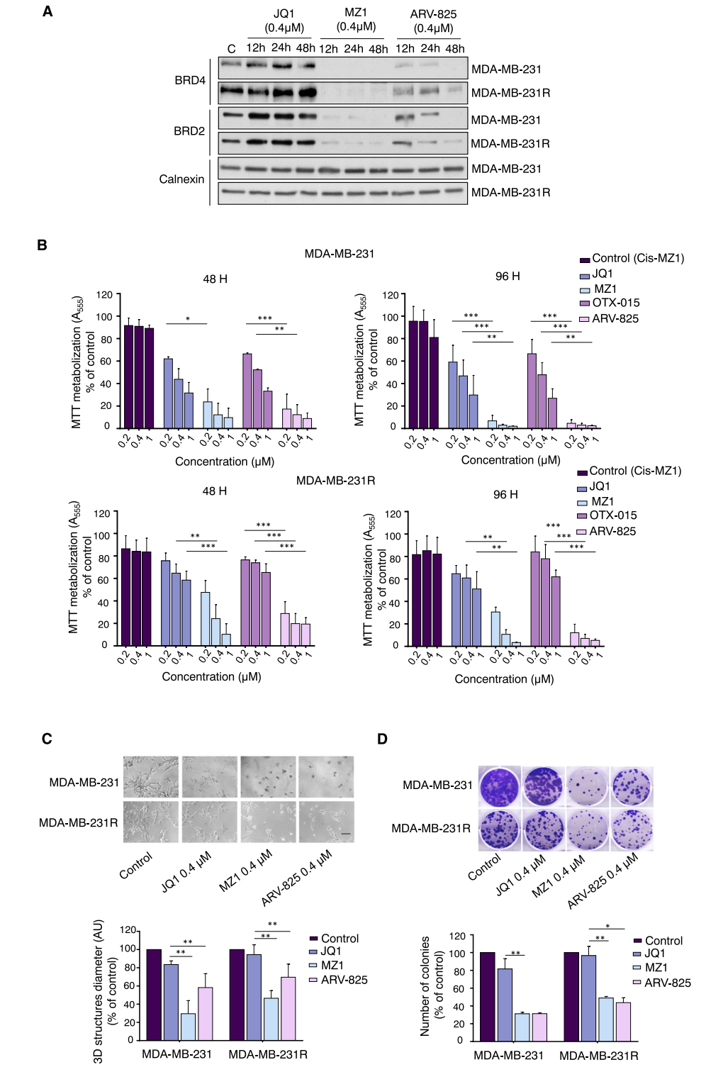 BET 蛋白水解靶向嵌合 (PROTAC) 化合物在三阴性乳腺癌中的活性 - 知乎