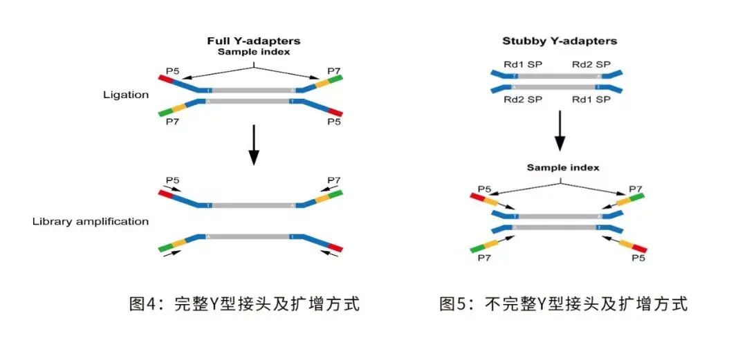 干货 | Index这件小事，你get了吗？ - 知乎