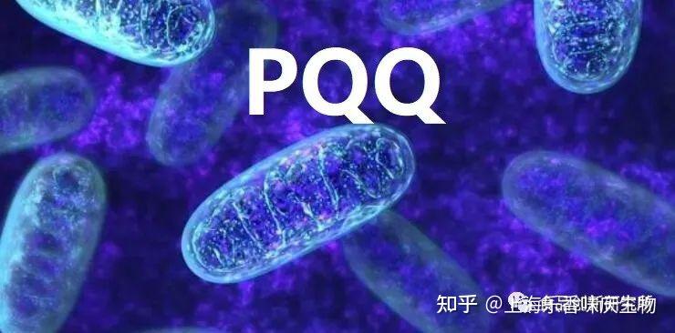 2023年第一个被受理的新食品原料竟然是PQQ！会是下一个风口吗？ - 知乎