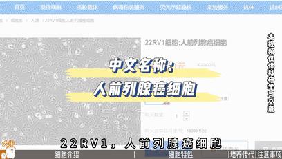 22RV1细胞培养，人前列腺癌细胞培养攻略 - 丰晖生物 - 知乎