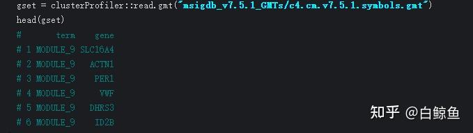 MsigDB基因集数据库 - 知乎