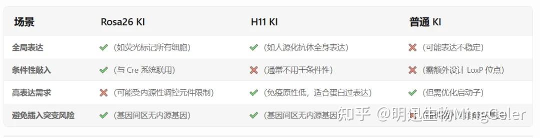 基因敲入位点怎么选？普通KI还是Rosa26、H11？ - 知乎