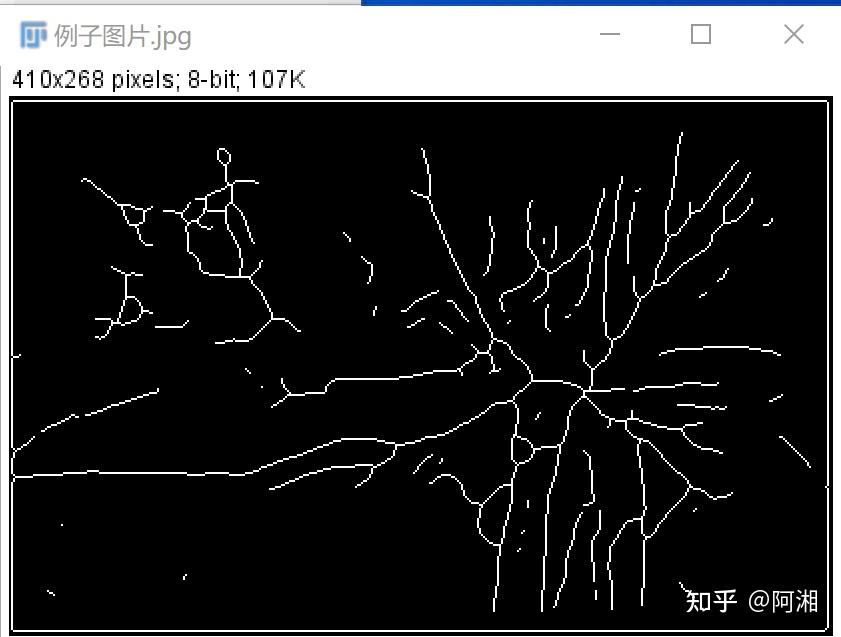 ImageJ分析细胞形态 - 知乎
