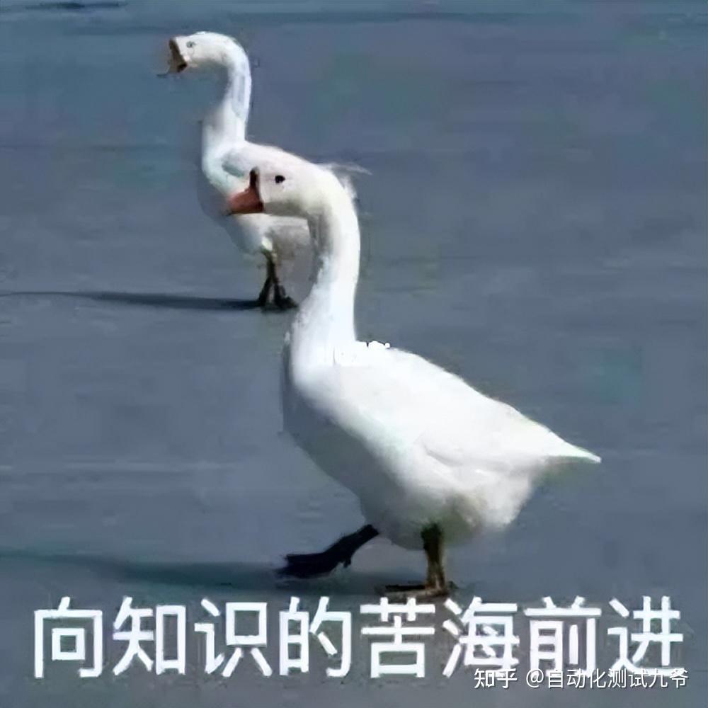 自动化测试之什么是python基础基本数据类型数值类型及序列类型 知乎 7707