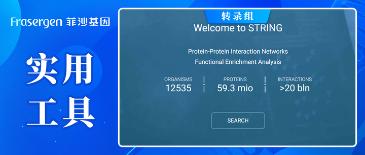 实用工具丨基于STRING的蛋白质相互作用（PPI）分析 - 知乎