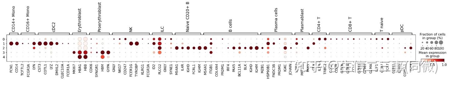 Scanpy教程学习笔记--基本流程 - 知乎