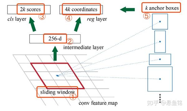 Faster RCNN 中核心 RPN 原理解析 - 知乎