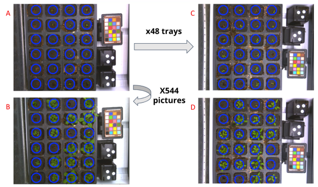 简化具有多个对象的 PlantCV 工作流程 - 知乎