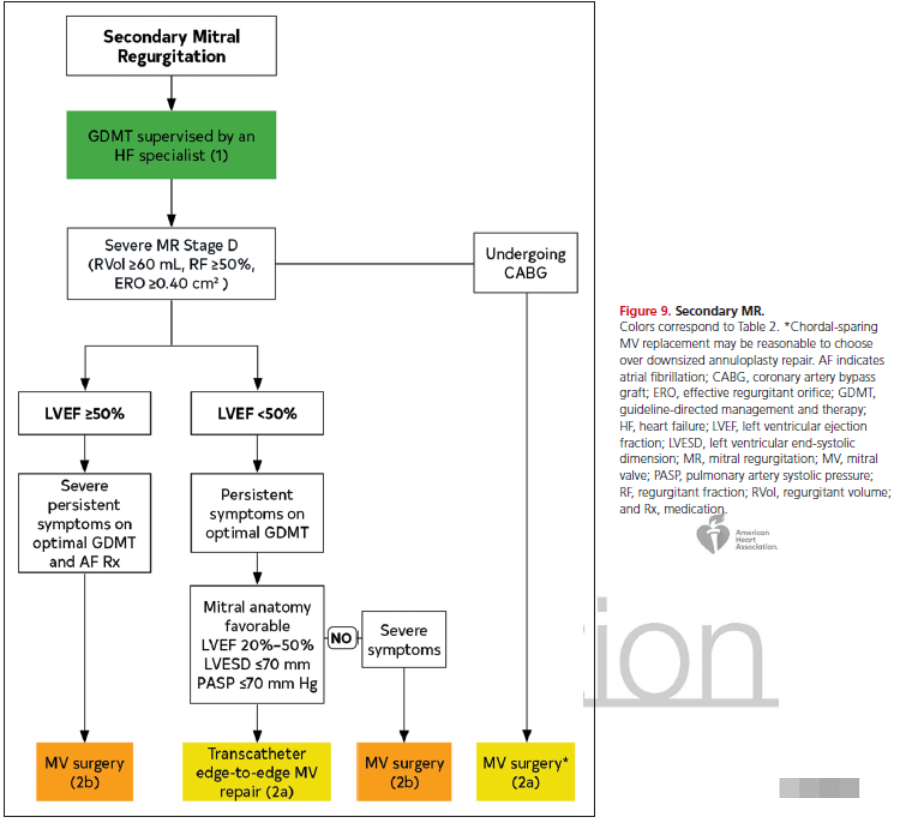 全面解析二尖瓣反流，10条要点全概括! - 知乎
