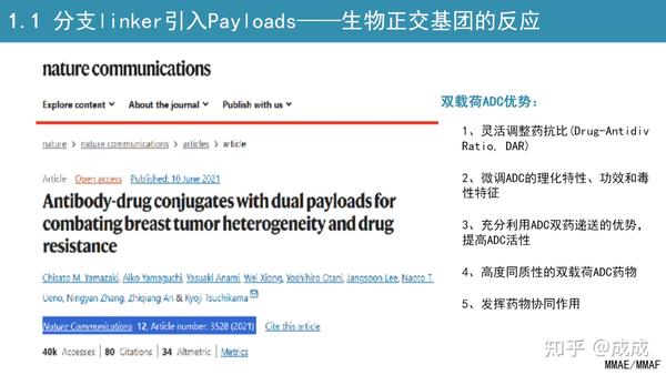 双载荷ADC的构建思路| Antibody-drug conjugates with dual payloads - 知乎