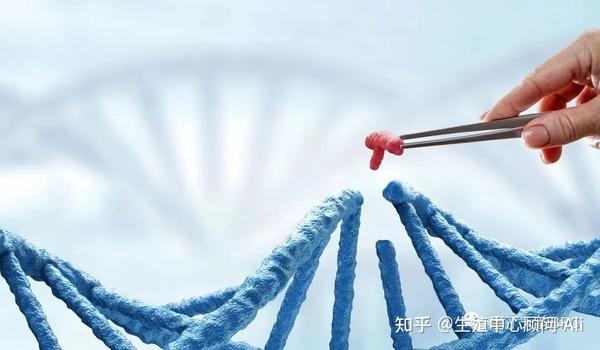 科普|第三代试管（PGT）技术胚胎遗传学筛选流程大揭秘~ - 知乎