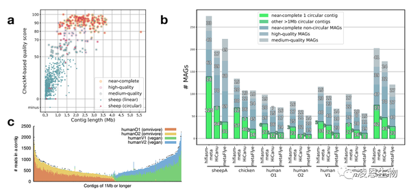 Hifiasm-meta | 你没看错！基于宏基因组的完成图！！ - 知乎
