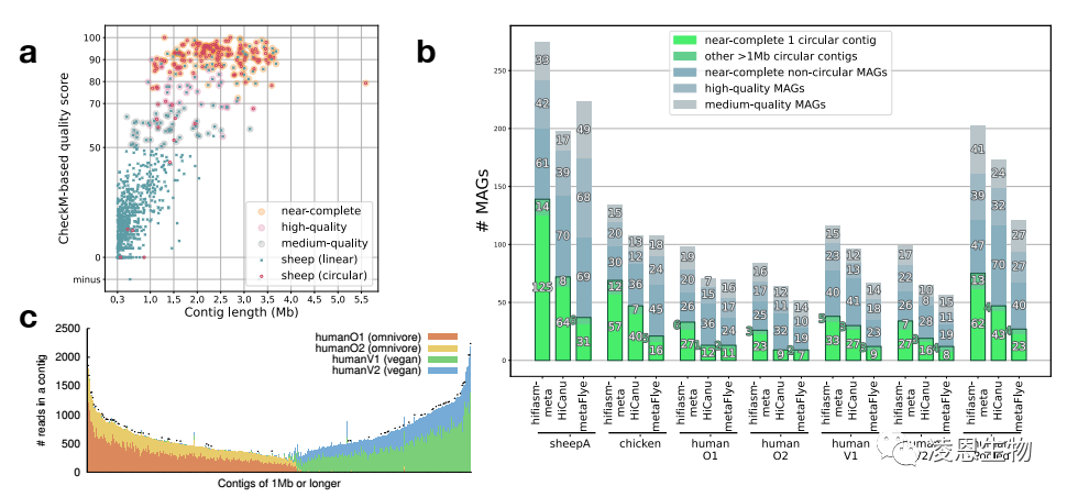 Hifiasm-meta | 你没看错！基于宏基因组的完成图！！ - 知乎