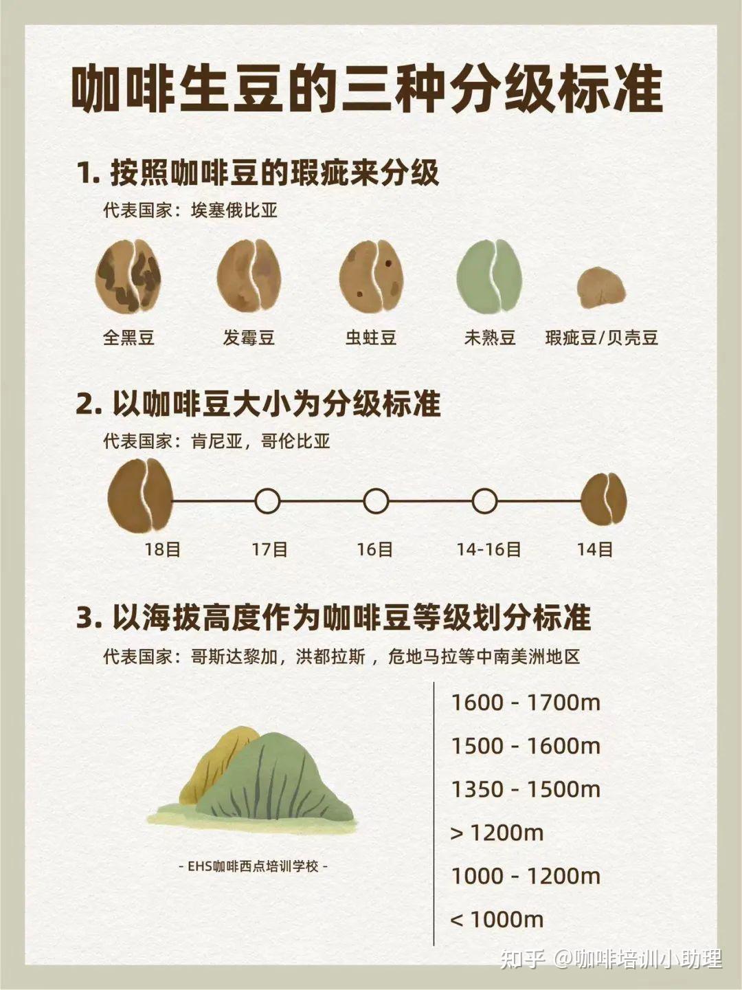 咖啡知识|咖啡生豆的三大分级标准 - 知乎
