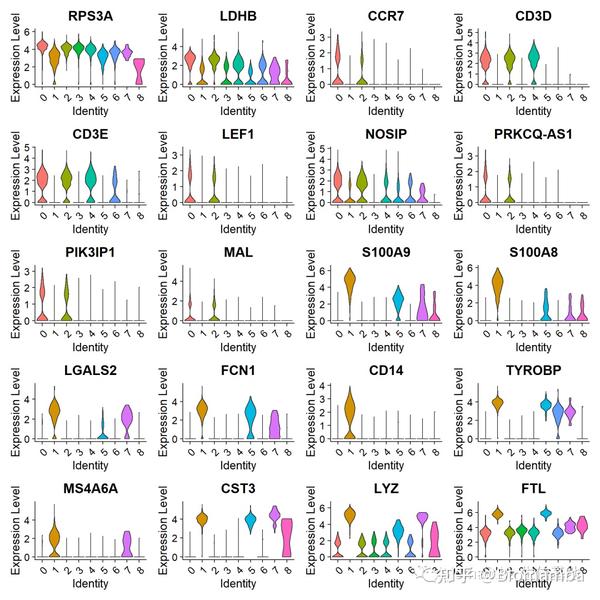 手把手教你做单细胞测序数据分析（五）——细胞类型注释 - 知乎