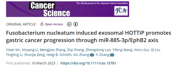 Cancer Sci| 山东大学齐鲁医院张欣/张义：具核梭杆菌诱导的外泌体HOTTIP促进胃癌进展 - 知乎