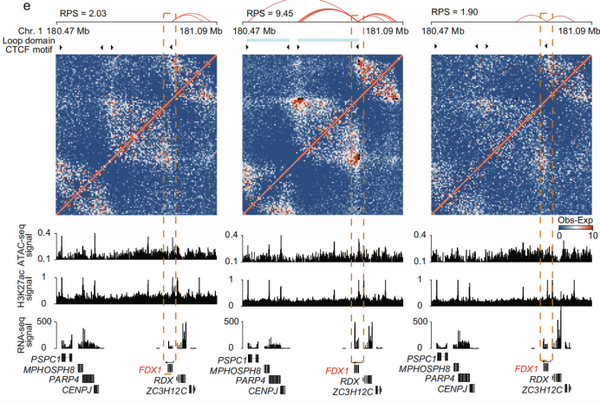 组蛋白ChIP-seq研究思路及应用案例分享 - 知乎