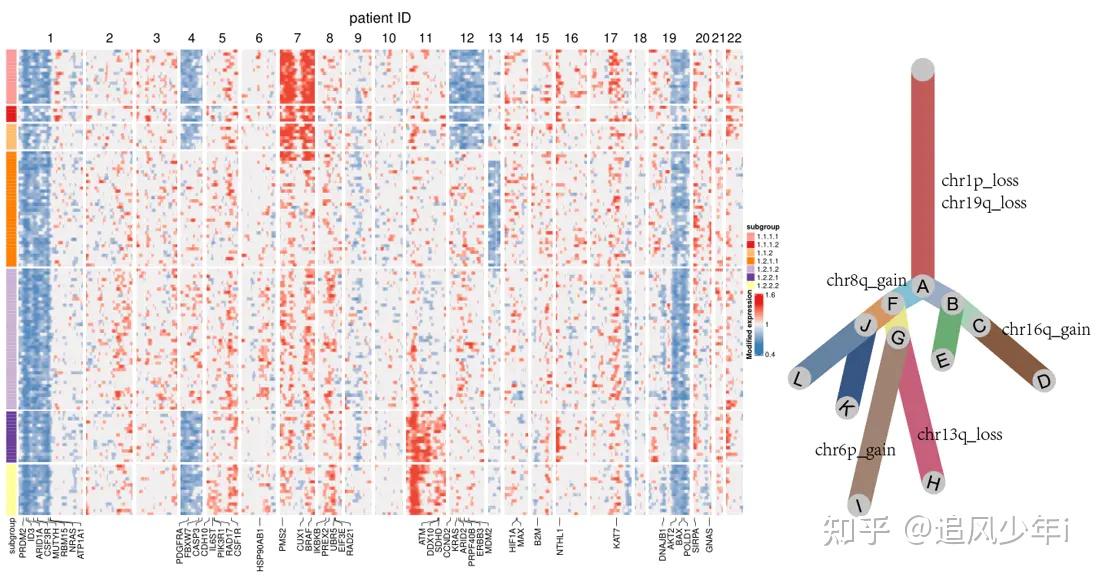 10X单细胞（10X空间转录组）肿瘤数据分析之肿瘤进化树 - 知乎