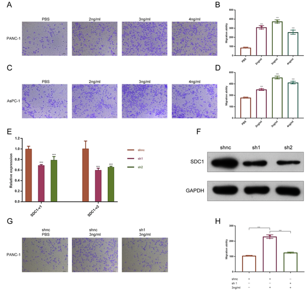 项目文章丨单细胞测序揭示胰腺癌中T细胞和肿瘤细胞相互作用机理 - 知乎