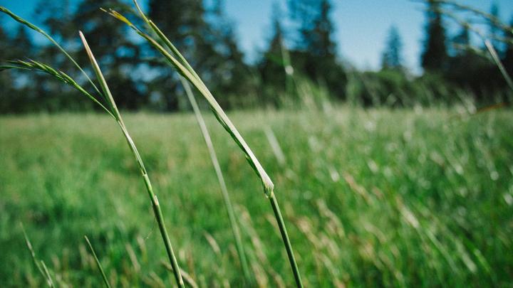 W1-P11-在VSCode授权登录GitHub - 知乎