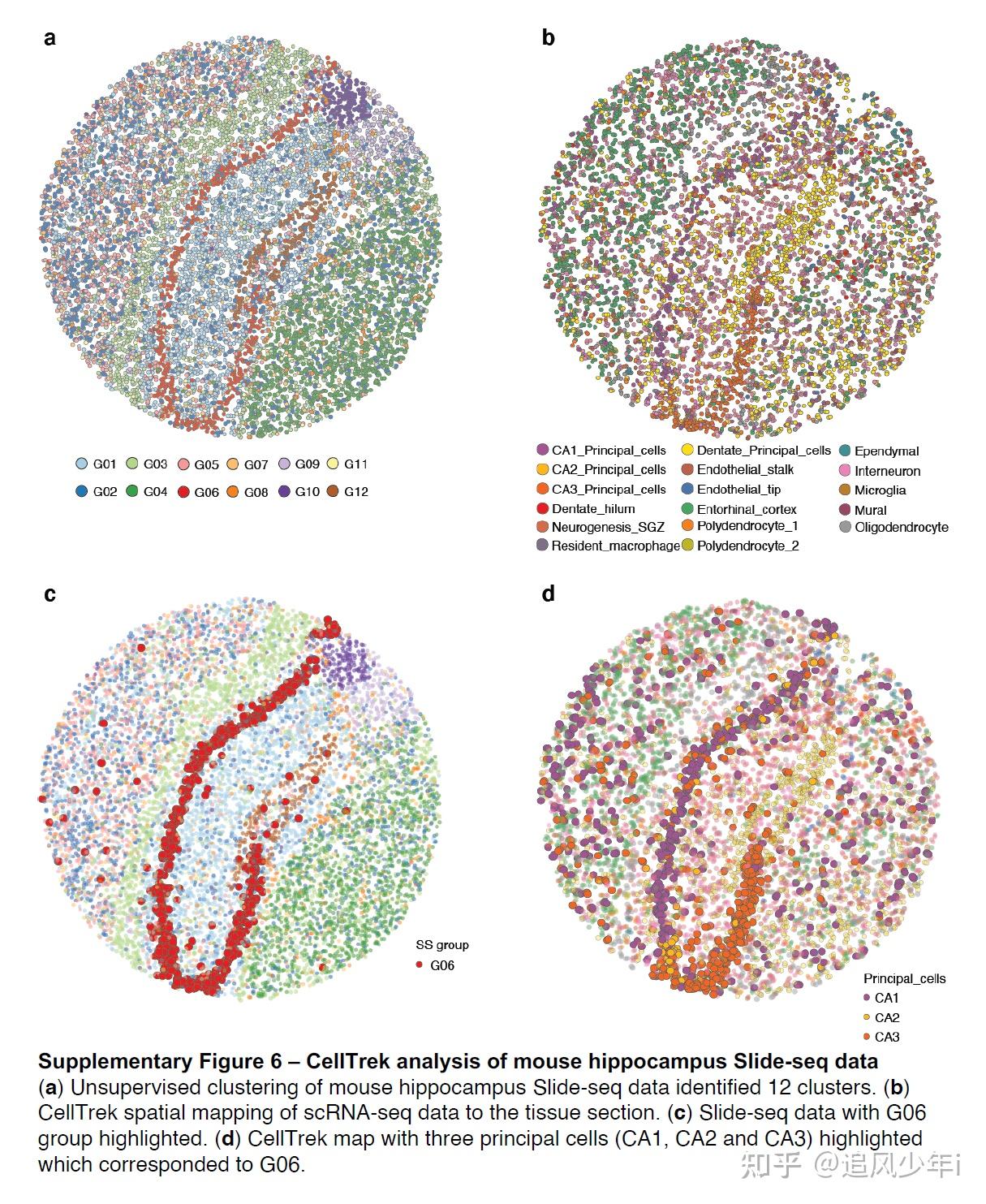 10X单细胞空间联合分析之十一（CellTrek） - 知乎