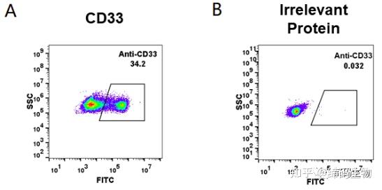 肿瘤免疫靶点 | CD33 - 知乎