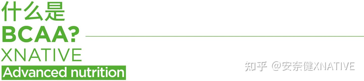 三分钟，我要知道BCAA的一切！ - 知乎
