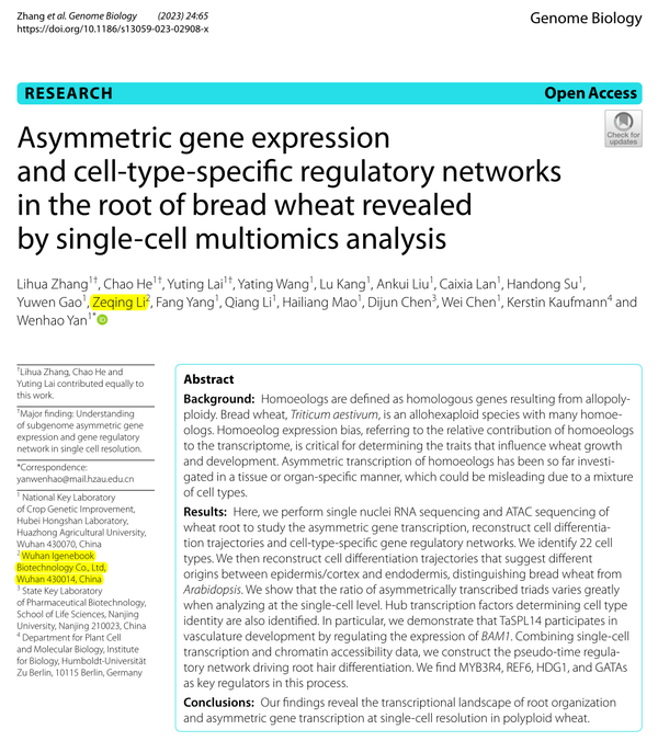 项目文章 | Genome Biology （IF: 17.902）单细胞多组学助力于面包小麦根的不对称基因转录研究 - 知乎