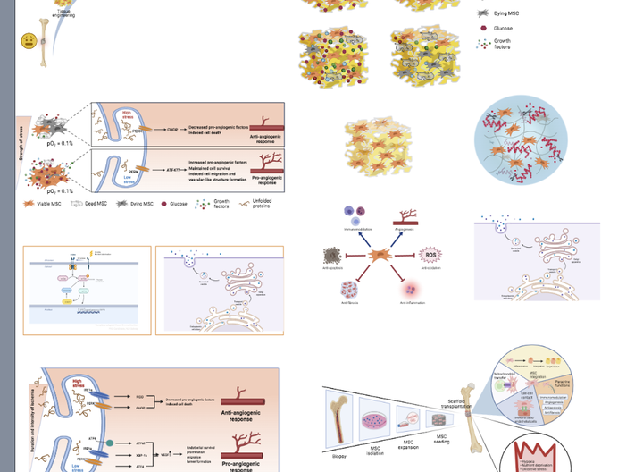 制作一张漂亮的science nature cell等期刊科学插图 - 知乎