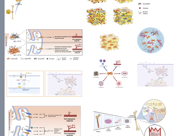 制作一张漂亮的science nature cell等期刊科学插图 - 知乎