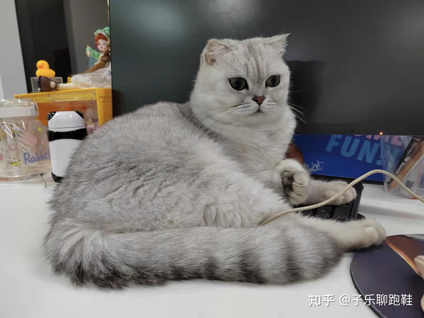 2025年手环推荐，运动手表推荐，智能手表推荐（8月） - 知乎