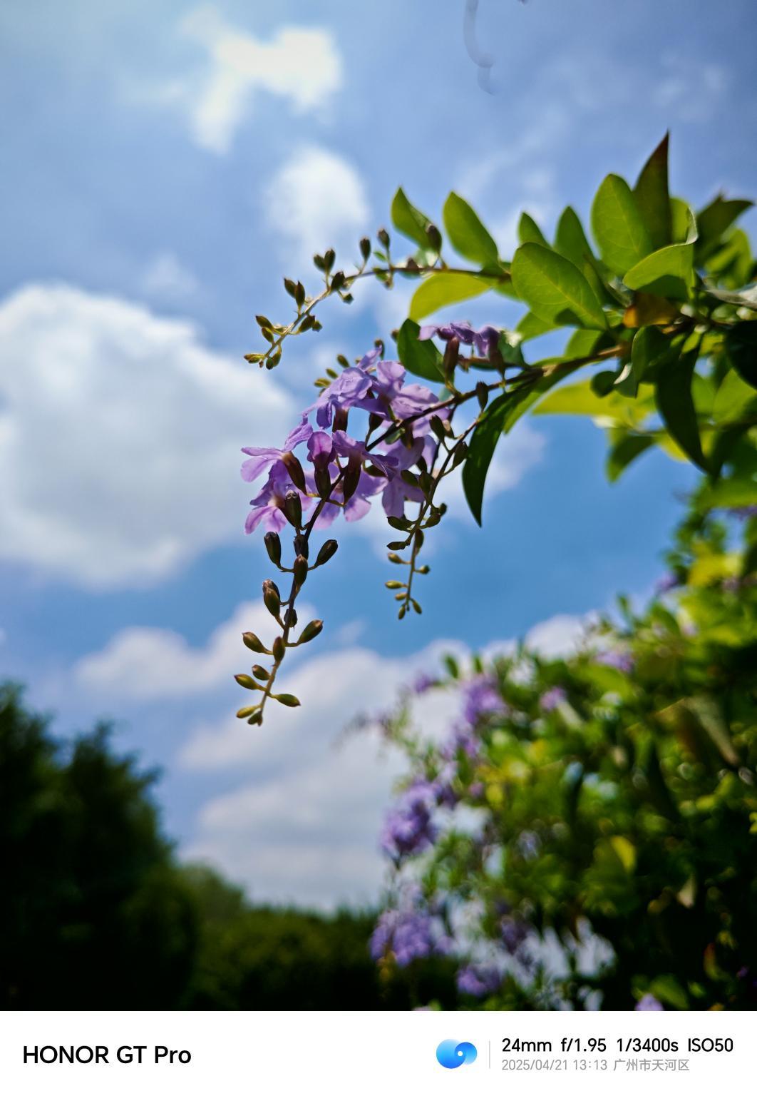 如何看待荣耀 GT Pro 价格 3699 元起？对友商会有什么影响？ - 知乎