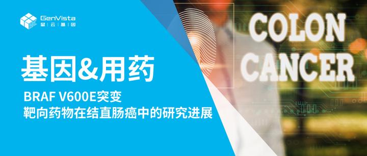 基因&用药 ‖ BRAF V600E突变靶向药物在结直肠癌中的研究进展-上 - 知乎