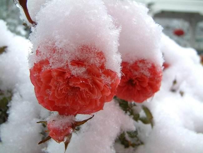 你似乎来到了没有知识存在的荒原 - 知乎