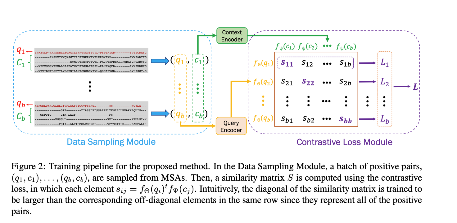 fastMSA：一种高效的蛋白质多序列比对（MSA）方法 - 知乎