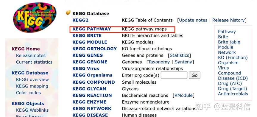 KEGG 通路图看不懂？手把手带你从入门到通透 - 知乎