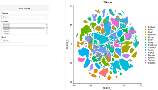 Mouse Cell Atlas：小鼠单细胞图谱，专业 - 知乎
