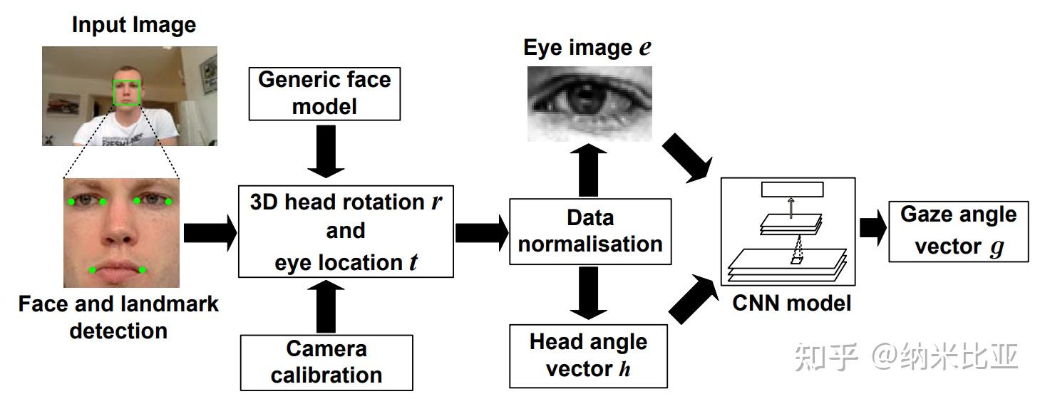视线估计 - Appearance-Based Gaze Estimation in the Wild - 知乎