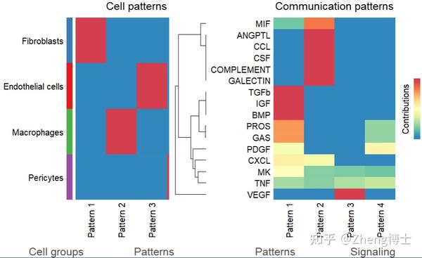 细胞通讯分析（单细胞测序）———CellChat（Homo、Mus） - 知乎