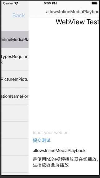 iOS WebView 对 H5 视频播放的控制 - 知乎